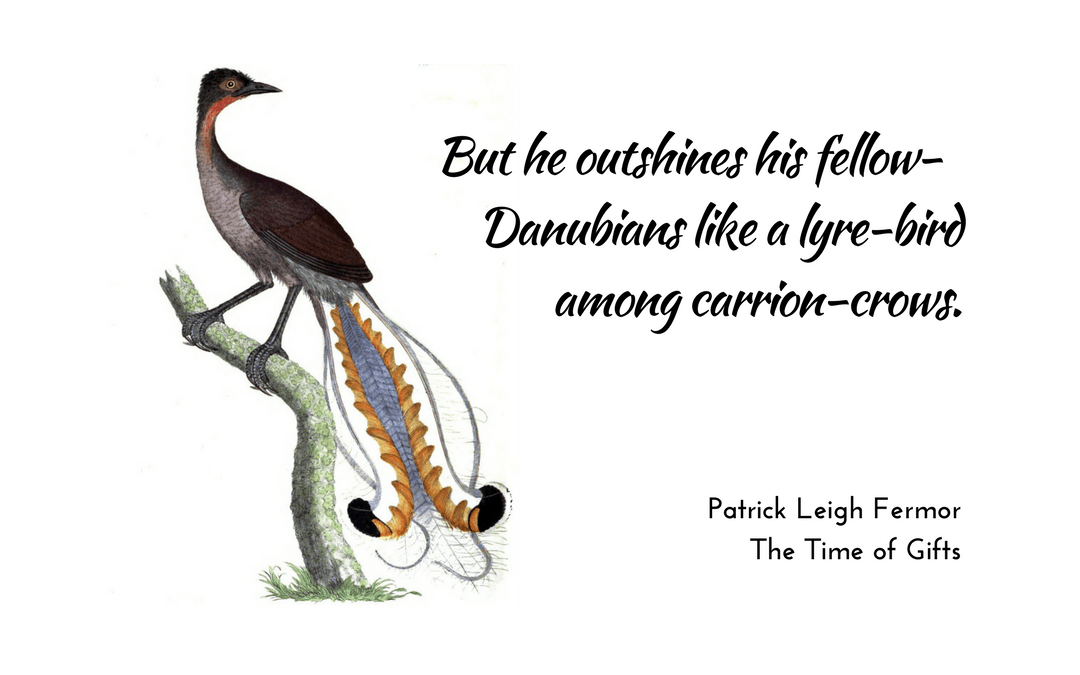 A lyre-bird among carrion-crows - www.writingredux.com