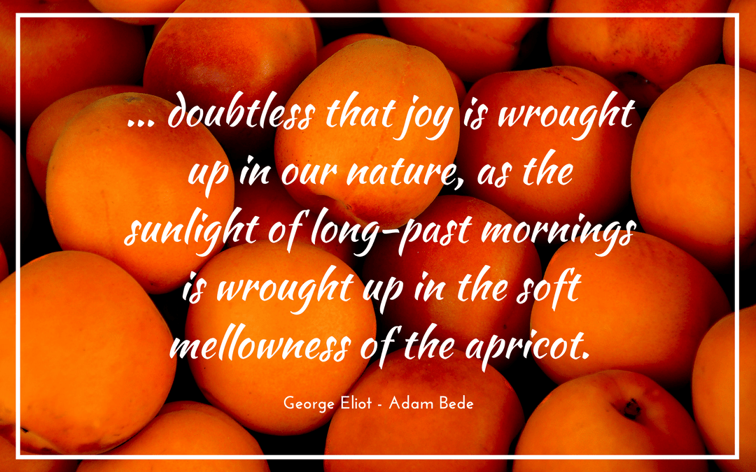 Of sunlight and apricots - www.writingredux.com
