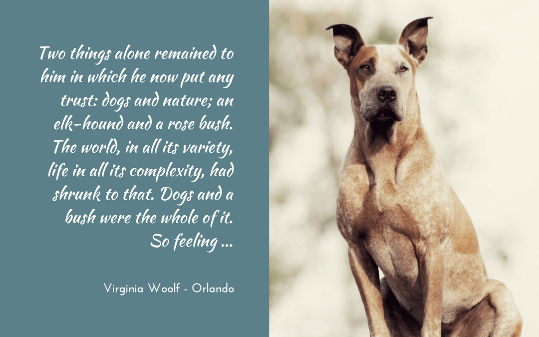 Dog And Nature Quotes