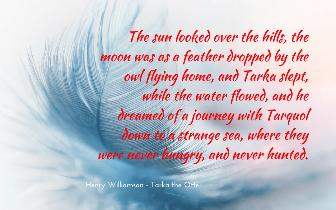 Moon as feather - www.writingredux.com