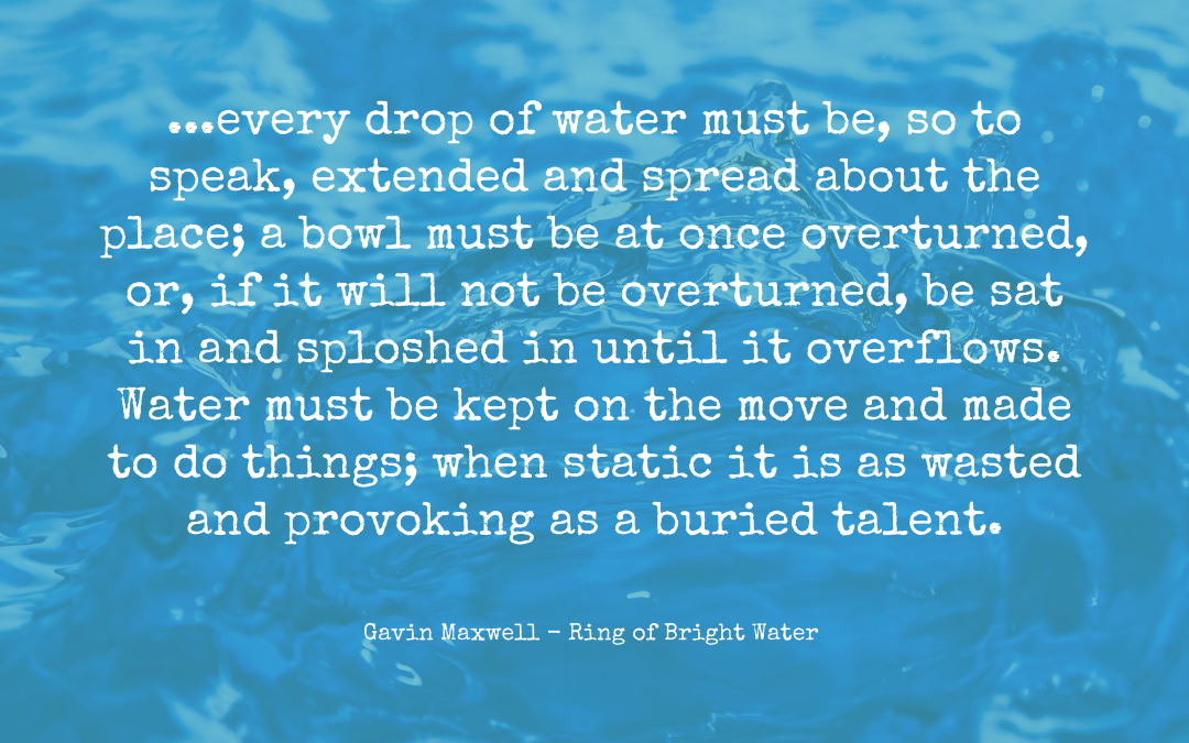 Water wild - www.writingredux.com