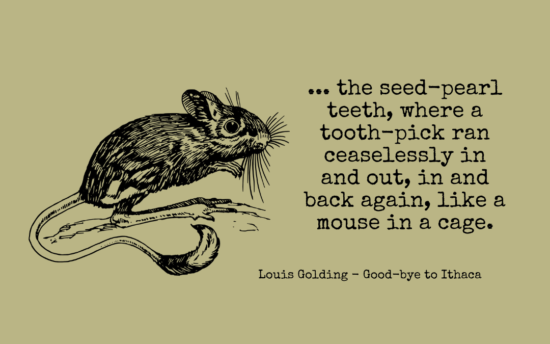 Like a mouse - www.writingredux.com