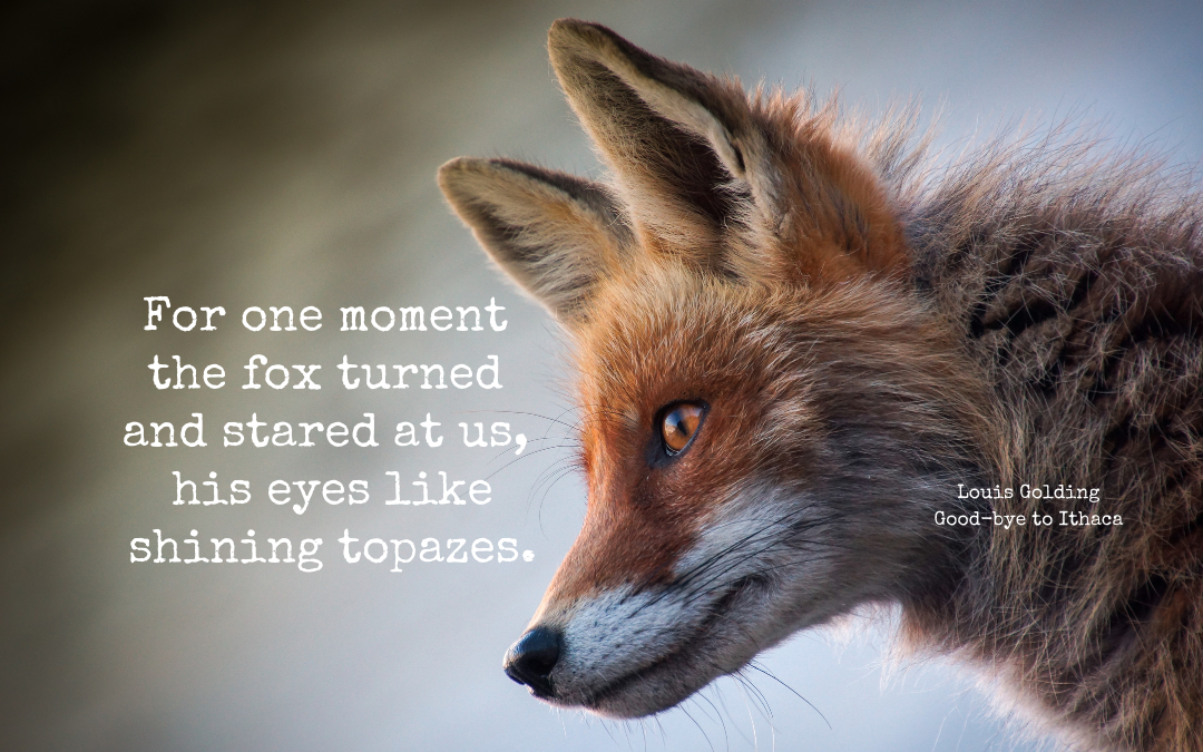 Red Fox Quotes